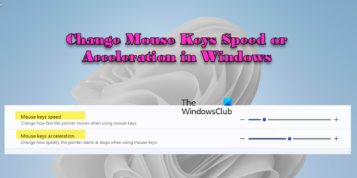 Change Mouse Keys Speed or Acceleration in Windows 11