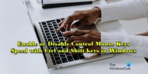 Control Mouse speed using CTRL and SHIFT keys in Windows 11