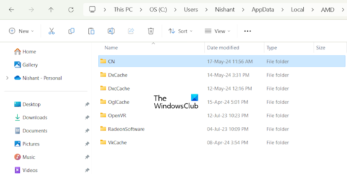 AMD Adrenalin not installing on Windows 11 [Fix]