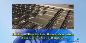 Enable or Disable Use Mouse Keys when Num Lock is On in Windows 11