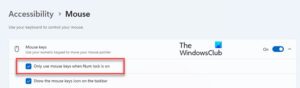 Enable or Disable Use Mouse Keys when Num Lock is On in Windows 11