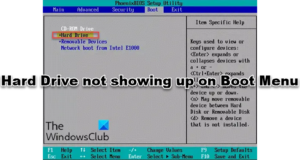 Hard Drive not showing up on Boot Menu in Windows