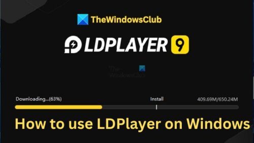 How to use LDPlayer 9 on Windows 11?