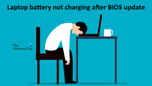 Laptop battery not charging after BIOS update