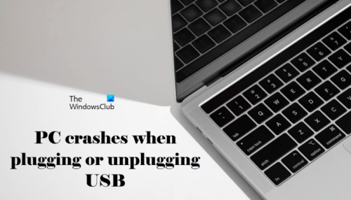 Windows PC crashes when plugging or unplugging USB [Fix]