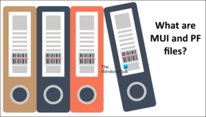 What are MUI and PF files in Windows computers?