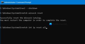 WSL2 No Internet Access; Unable to resolve host address [Fix]