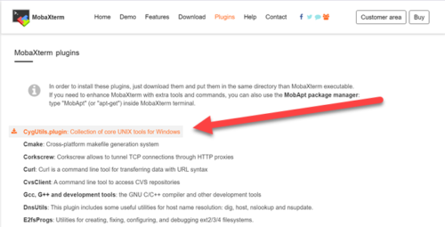 MobaXterm not working on Windows 11