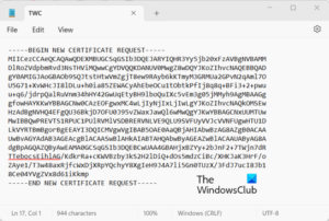 Generate Certificate Signing Request (CSR) in Windows Server