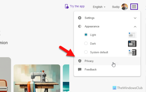How to delete all AI logs permanently from Copilot on PC?