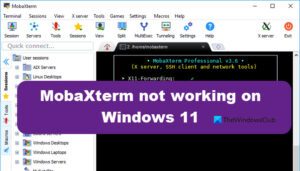 MobaXterm not working on Windows 11