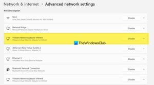 VMWare VM unable to connect to the Internet