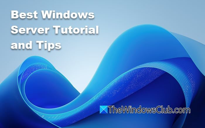 Best Windows Server Tutorial and Tips