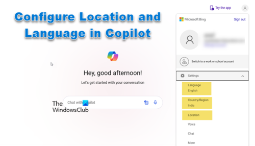 Change Location, Display language, Search result language Copilot