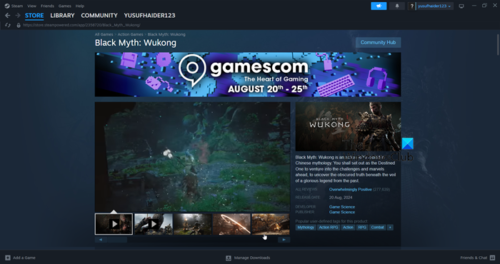 How to download and play Black Myth Wukong on PC