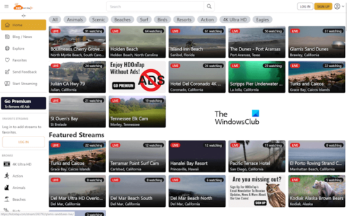 What are best alternatives to Live EarthCam?