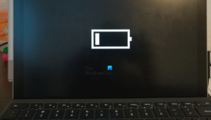 Laptop battery indicator blinking while charging in Windows 11