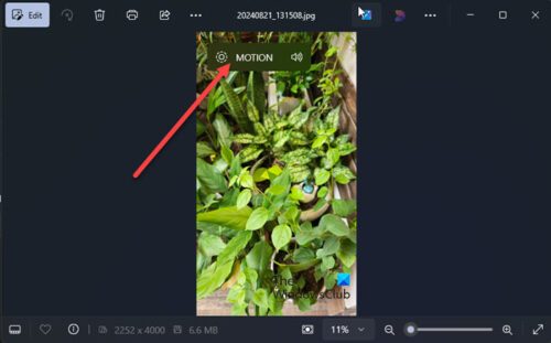 How to view Motion Photos on PC