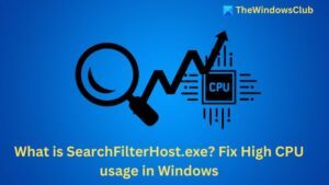 What is SearchFilterHost.exe? Fix High CPU usage in Windows 11