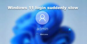 Web sign-in, Faster sign-in, Biometrics login in Windows 11/10