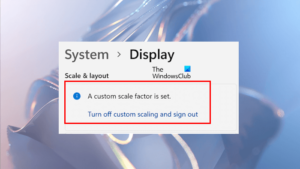 A custom scale factor is set error in Windows 11/10