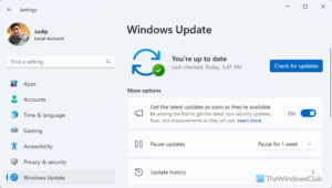 WARNING: Known issues with graphics driver in Windows 11