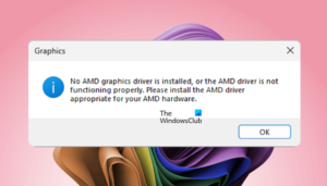 Error 173 No Graphics Hardware detected on AMD Radeon