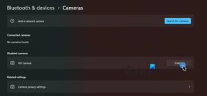 Camera is reporting that it is blocked or turned off in Windows 11