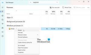 How to fix Faulting application name errors in Windows 11
