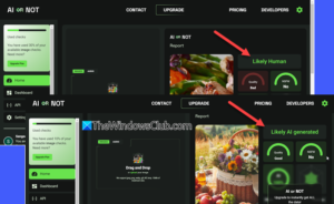 Is it Real or AI Picture? How to identify using tools?