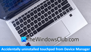 Uninstalled Touchpad from Device Manager; How to reinstall it?