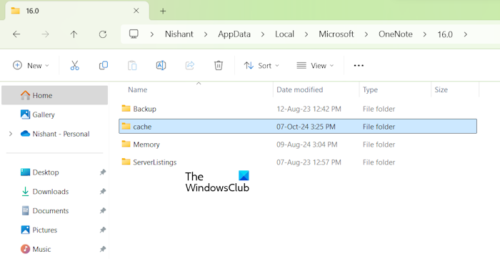 OneNote Opening in Read-Only Mode [Fix]