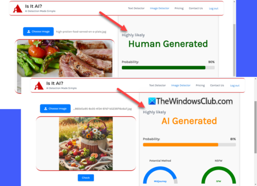 Is it Real or AI Picture? How to identify using tools?