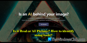 Is it Real or AI Picture? How to identify using tools?