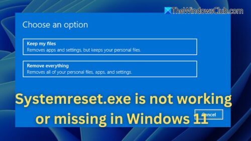 Environment Variables not working in Windows 11 Environment Variables not working in Windows 11