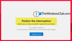 Pardon the interruption in Microsoft Store [Fix]