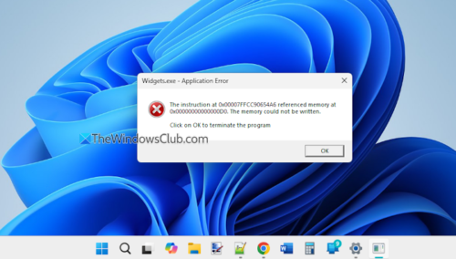 The memory could not be written error in Windows 11