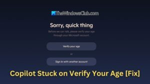 Copilot stuck on Verify your age [Fix]