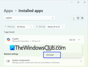 Copilot stuck on Verify your age [Fix]