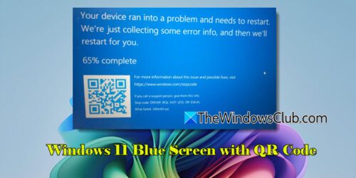 REFRENCE BY POINTER BSOD with Error 0x00000018 on Windows