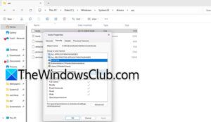 There was an error while attempting to read the local hosts file