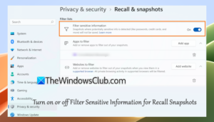 How to use Recall in Windows 11: Detailed Guide