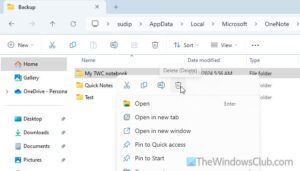 Fix OneNote You're out of disk space error