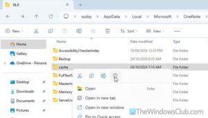 Fix OneNote You're out of disk space error