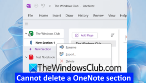 How to merge one section to another in OneNote