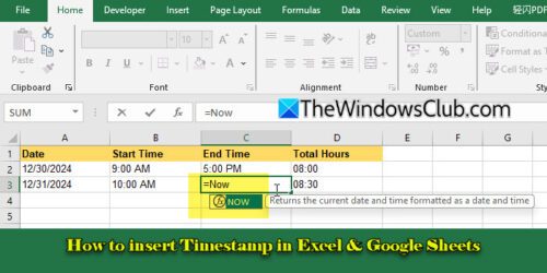 How to insert Timestamp in Excel and Google Sheets