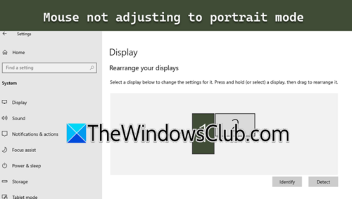 Portrait monitor Mouse still Landscape on Windows PC [Fix]