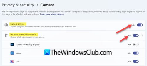External Camera not detected or working in Windows 11