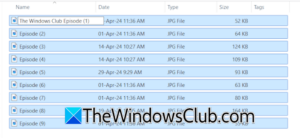 How to rename multiple Files or Folders at once in Windows 11