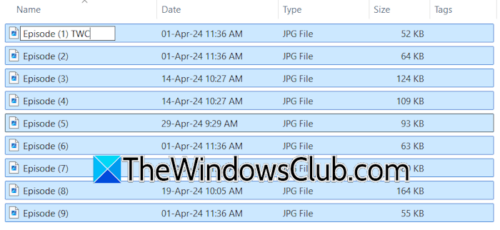 How to rename multiple Files or Folders at once in Windows 11